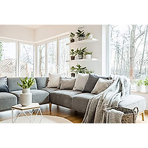 Indoor Plant Food | All-purpose House Plant Fertilizer | Liquid Common Houseplant Fertilizers for Potted Planting Soil | by Aquatic Arts