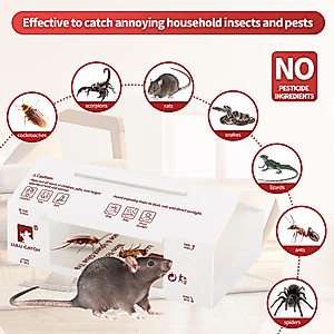 LULUCATCH Sticky Mouse Traps, 12 Pack Pre-baited Glue Traps, Foldable Bulk Non-Toxic Indoor Mouse Glue Boards for Insects, Cockroach, Lizard, & Spider, Pet Child Safe & Easy to Use Pest Control
