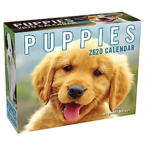 Puppies 2020 Mini Day-to-Day Calendar