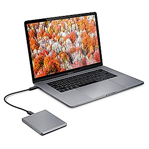 LaCie Mobile Drive 2TB External Hard Drive HDD – Space Gray USB-C USB 3.0, for Mac and PC Computer Desktop Workstation Laptop (STHG2000402) (Renewed)