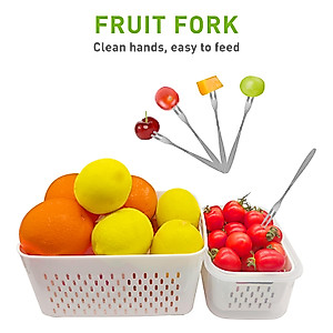 QPPKII 6 PCS Fruit Storage Containers for Fridge with Handle and Colander, Fruits/Vegetables/Berry Saver Container for Refrigerator, Food Storage Containers for Picnic