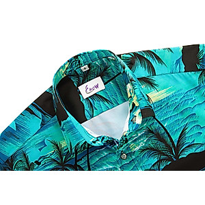 EUOW Men's Hawaiian Shirt Short Sleeves Printed Button Down Summer Beach Dress Shirts(Multicolored BL3,XL)