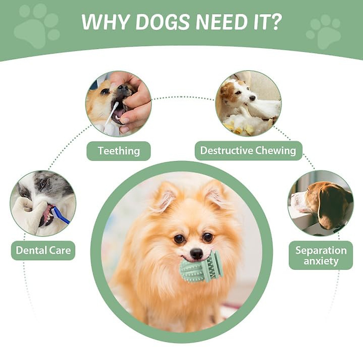 COMFPET Dog Chew Toys for Teething and Cleaning, Rubber Puppy Toys, Dog Dental Chews Toy, Interactive Dog Toys for Small/Medium Dog, Cactus Shape(Green)