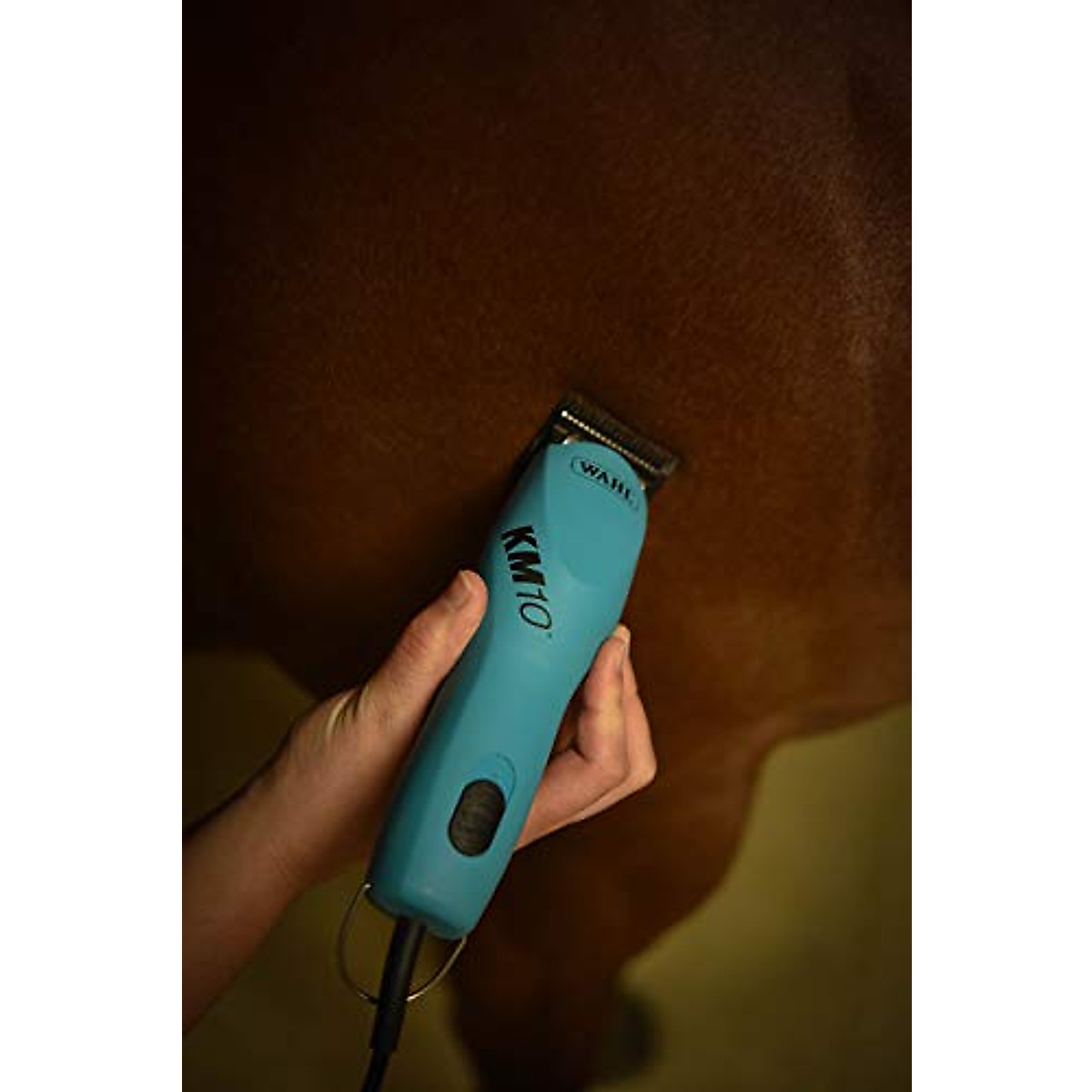 WAHL Professional Animal KM10 2-Speed Brushless Motor Pet, Dog, and Horse Clipper Kit - Turquoise