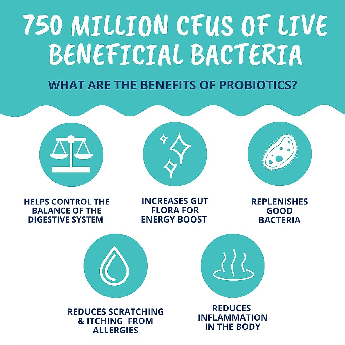 Under The Weather Pet Probiotic Powder for Dogs | Vet Formulated Dog Probiotics Supplement Filled with Good Bacteria | Promotes Healthy Digestion, Appetite, and Strong Immune System| 120 Servings