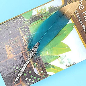 Wal front European Feather Quill Pen Set Feather Calligraphy Pen Kit Feather Dip Pen Gift Set Fountain Pen(Sky Blue)