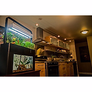 AquaSprouts Garden, Self-Sustaining Desktop Aquarium Aquaponics Ecosystem Kit, fits Standard 10 Gallon Aquariums