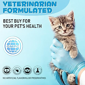 Kennel Cough for Cats, Kennel Cough Herbal Drops, Cats Cough Reliel Liquid Drop for Cats Allergy Relief, Soothes Cats Cough, Pet Health Supplies for Cat Cough Care, Chicken Flavor - 1 Pack / 2 Fl oz