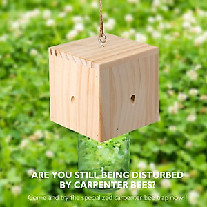 GRTRE 4 Pack Wood Carpenter Bee Trap for Outside - Best Bee Trap - Wood Boring Bee Trap- Nature Cube Style Carpenter Bee Traps Outdoor Hanging - Insect Traps Removes Carpenter bee
