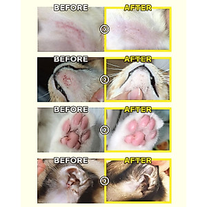 SUNNY SIDE UP Dog Cat Paw Moisturizer Yellow Centella Salve | Dog Lotion for Dry Itchy Skin & Cracked Paws | Cat Itchy Skin Allergy Relief | Cat & Dog Paw Balm for Skin Irritation (1.16 fl oz)