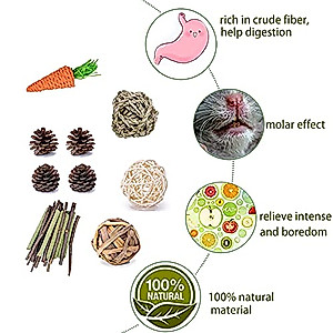Fansisco Rabbit Chew Toys, Natural Apple Wood and Drying Grass Cake and Activity Balls for Rabbits, Chinchillas, Guinea Pigs, Hamsters Chewing Playing Improve Dental Health (style1)