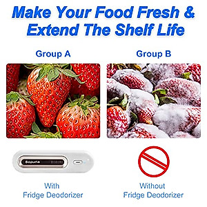 Refrigerator Deodorizer Portable Fridge Deodorizer Mini Odor Eliminator for Refrigerators, Shoe Cabinet, Wardrobe, Car, Pet Home