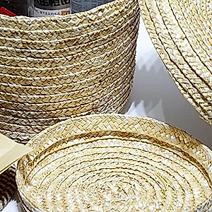 Zhuxin Woven Straw Storage Baskets with Lid, Rattan Snack Container Multipurpose Bins Laundry Toys Organizer Household, Round Medium Size, Diameter 18cm, Height 14cm