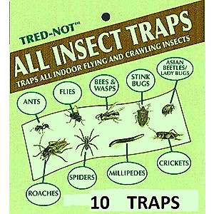 10 Pk Camel Cricket/Roach/Scorpion Sticky Traps