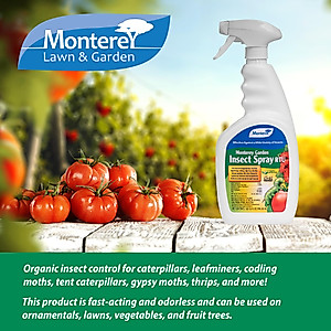 Monterey - Garden Spinosad Insecticide Spray - Organic Gardening Spinosad Spray, Control Foliage Feeding Worms - Ready to Use - 31 oz