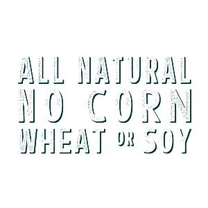 Gnawturals Hideless Chews Ribbed Bones | for Small Dogs | Rawhide Free, Pumpkin, Psyllium Husk and Chicory Root for Easy Digestion and Overall Gut Health (12 Bones, Pumpkin)