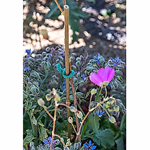 Twigs GA - SUPER Sof-T-Tie. (Single Pack) Soft, Foam Covered Wire for Plant Support. Great Tomato Ties , Grape Ties. Any Fast Growing, Fragile Plant in the Garden Ties.