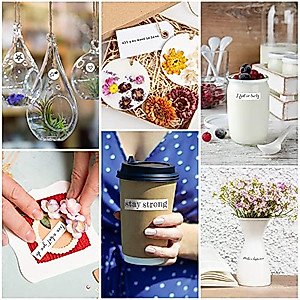 48 Sheets Inspirational Quotes Planner Stickers Small Talk for Journaling Scrapbook Supplies Motivational Words Simple Neat Handwritten Letters Typewritten Scripts, 8 Styles (Black)