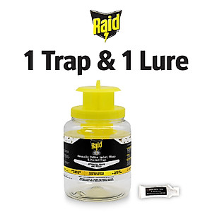 Raid Reusable Yellow Jacket, Wasp & Hornet Trap, Hanging Wasp Trap