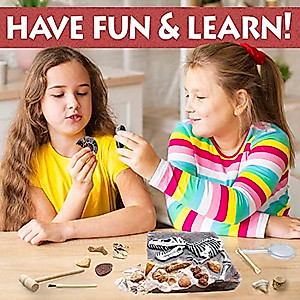 DANCING BEAR Fossil Dig Kit, Excavate 15 Prehistoric Fossils Including Real Dinosaur Bones and Shark Teeth, Paleontology STEM Education for Kids, Fun Science Activity Gift Sets for Girls and Boys