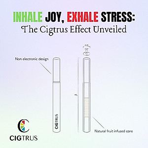Natural Nicotine-Free & Tobacco-Free Smoking Alternative - Non-Electric Craving Relief, Quit Smoking Aid with Cigtrus (Fresh Spearmint)