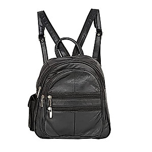 Liberty Leather Carry on Sheep Nappa Leather 10" Mini Backpack Purse I Multi Pocket Casual School Bookbag Daypacks for Women I Lightweight College Office Travel Bag Purse (Small Size)