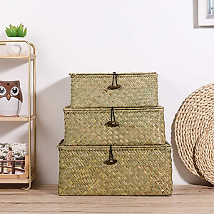 BESPORTBLE Set of 3 Wicker Shelf Baskets with Lid, Woven Seagrass Storage Bins for Shelves for Organizing, Rectangular Baskets for Decoration, Picnic, Groceries and Toy Storage
