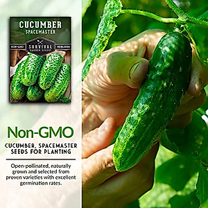 Survival Garden Seeds - Spacemaster Cucumber Seed for Planting - Packet with Instructions to Plant and Grow Container Friendly Cucumbers in Your Home Vegetable Garden - Non-GMO Heirloom Variety