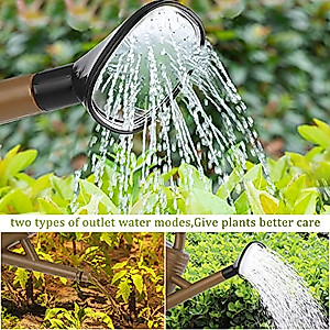 1 Gallon Watering Can for Indoor Plants, Garden Watering Cans Outdoor Plant House Flower, Gallon Watering Can Large Long Spout with Sprinkler Head