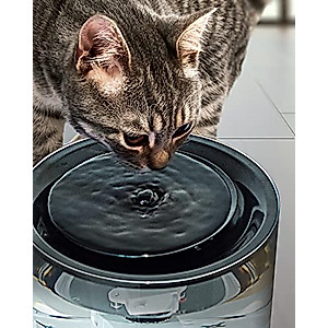 Ciays 67oz/2L Pet Water Fountain Automatic Cat Drinking Fountain Multi Filtration System Pet Water Fountain with LED Light and Filter for Cats and Small Dogs, Black (11104)