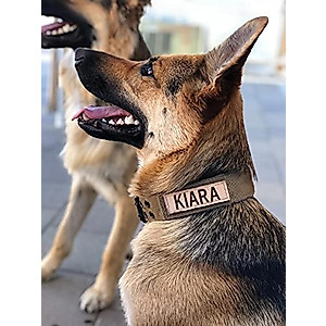 JiePai Military Dog Collar Adjustable Nylon k9 Tactical Dog Collar with D-Ring & Buckle Collars for Medium Large Dogs (Ranger Green,L)