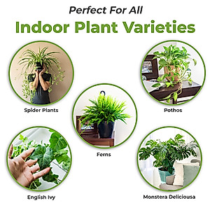 Perfect Plants Indoor Plant Soil 8qt | Perfectly Balanced Potting Mix | Gardening Substrate for All Varieties of Live houseplants