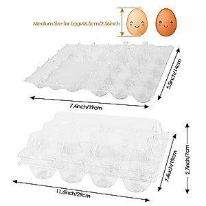 Egg Cartons 50 Packs, Clear Eco-friendly Plastic Blank Egg Cartons, Holds up to 12 Eggs Securely, Perfect for Family Pasture Farm Markets Display - Medium