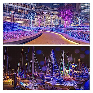 LIUPENGWEI Fairy Lights, Rope Lights 10M 100LED Waterproof String Lights Long LED Outdoor Garden Lights Christmas Lights Lighting 8 Operation Modes For Patio Party Wedding Yard Trees Home garden Ghost