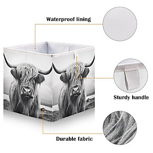 Kigai Storage Basket Highland Cow Foldable Storage Bin 11 X 11 X 11 Inches Cube Storage Baskets Box for Shelves Closet Laundry Nursery Bedroom Home Decor