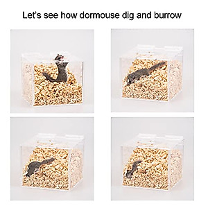 Jiorola Acrylic Critter's Sand Bath Box - Clear Hamster Digging Sand Container Bath Container Digging & Hide for Hamsters Mice Dormouse Gerbils or Other Small Pets