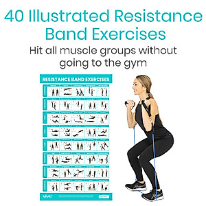 Vive Yoga Poses + Stretching Exercises + Resistance Band Workouts Poster for Home Gym (3 Pack) - 149 Illustrations for Flexibility, Strength, Core, Exercising, Pilates Mat - Work Chart Set, Laminated 30" x 17"
