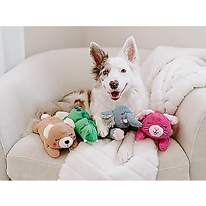 ZippyPaws Snooziez with Shhhqueaker - Alligator Dog Toy with Silent Squeakers, Quiet Puppy Toys for Boy and Girl Dogs, Small Plush Dog Gifts