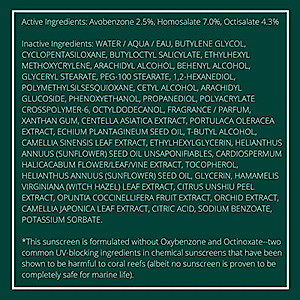 innisfree Daily UV Defense Sunscreen Broad Spectrum SPF 36 Face Lotion, 1.69 Fl Oz (Pack of 1)