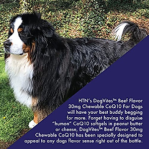 Health Thru Nutrition Dog-Vites CoQ10 for Dogs, Beef-Flavored Chewable Tablets, 30mg (Pack of 60)