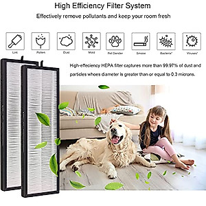 Eureka NEA120 True HEPA Filter, Compatible with Eureka Instant Clear NEA120 (NEA-F1/ NEA-C1) and Toshiba Smart WiFi (CAF-W36USW) Air Purifier, 2 pack