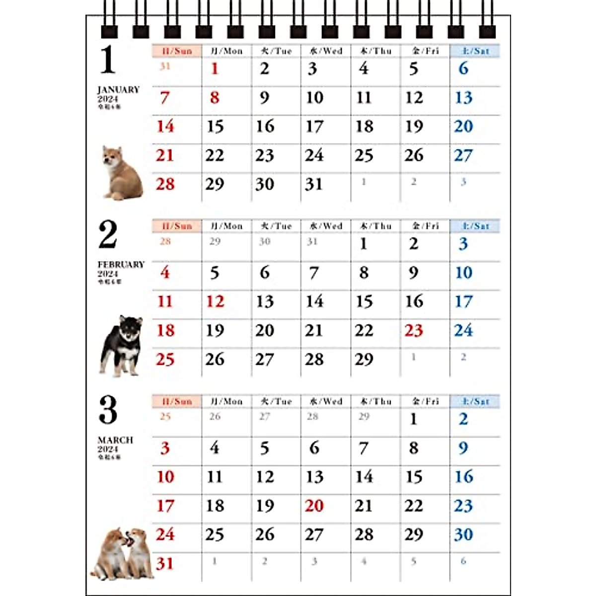 2023 柴犬カレンダー 卓上書き込み式 [B6タテ] 【S3】 (永岡書店のカレンダー)