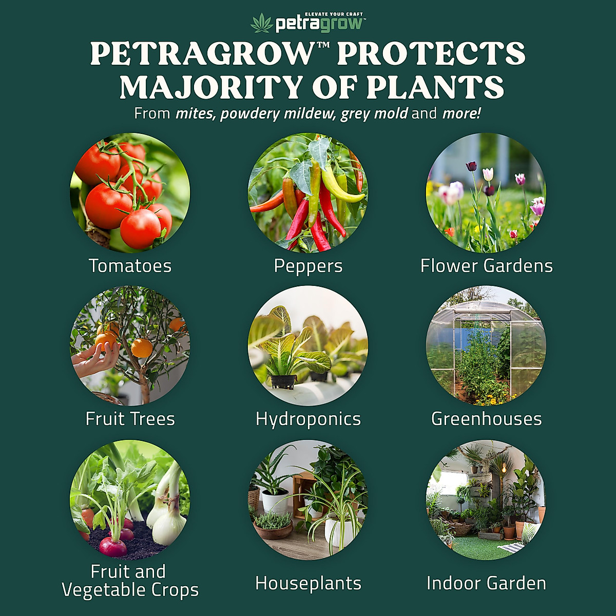 PetraGrow Crop Defender Leaf Guard Super Concentrate Pesticide, Miticide, Plant Fungicide, Insecticide for Indoor Plants, Spider Mite Spray, Powdery Mildew Spray for Plants - 1 Gal