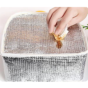 MININAI Cute Aesthetic Lunch Bag Kawaii Cartoon Lunch Box Insulated Lunch Bag Reusable Tote Bag for Work Picnic Travel (Purple,One Size)