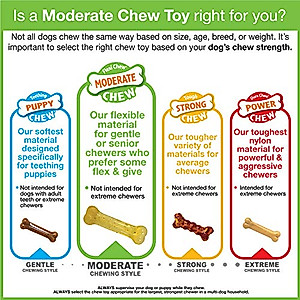 Nylabone Moderate Chew FlexiChew Bone Bones Peanut Butter & Bacon XX-Small/Tiny (2 Count)