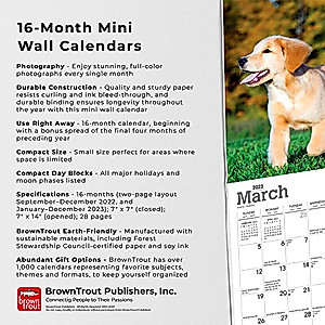 Golden Retriever Puppies | 2023 7 x 14 Inch Monthly Mini Wall Calendar | BrownTrout | Animals Dog Breeds Puppy DogDays
