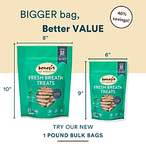 Benefit Biscuits, All Natural Dog Treats, Certified Vegan, Non GMO, Wheat Free, Healthy Dog Biscuits, Made in USA (Mint, Large Bag 1lb)