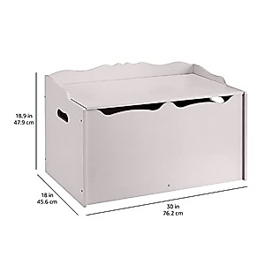 Amazon Basics Kids Toy Box, Wooden Organizer Storage Chest, Gray, 30" x 18" x 19"