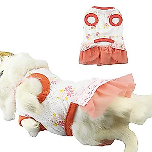 ANIAC XXS Dog Skirt with Flower Pattern Cat Princess Dress Rabbit Outfits Puppy Lace Tutu Skirt Yorkie Spring Summer Clothes for Kitten Kitty Chihuahua Ferret and Small Breeds (XS, Red)