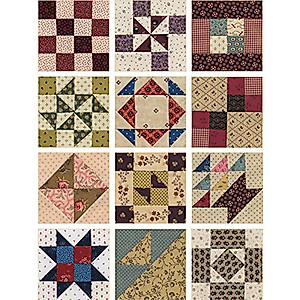Schoolgirl Sampler: 72 Simple 4" Blocks and 7 Charming Quilts